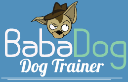 Babadog - Easy2Success